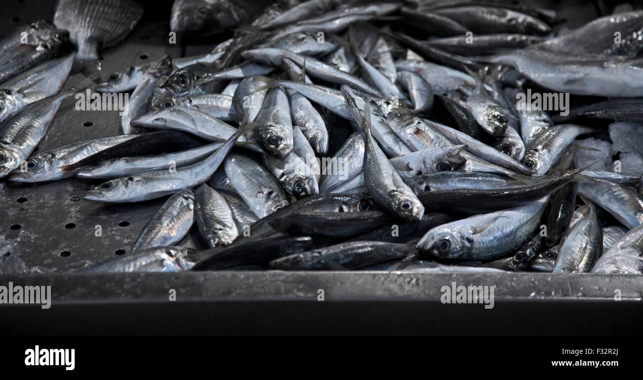 Abstract of Mackerel fish being sold on a market stall Stock Photo - Alamy