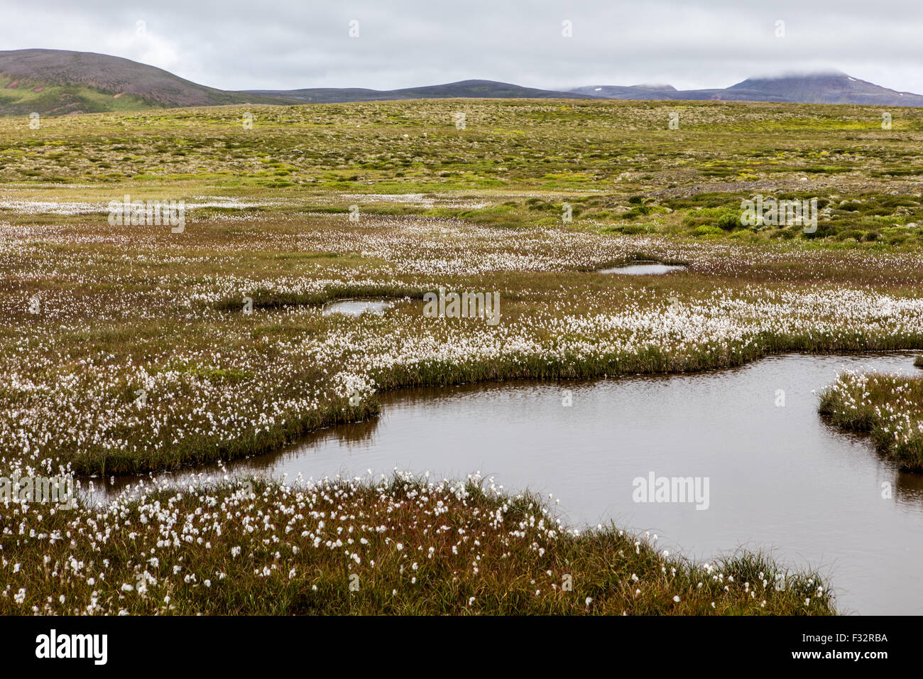 Iceland country hi-res stock photography and images - Alamy