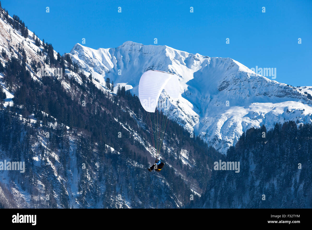 Conifer alps hi-res stock photography and images - Alamy