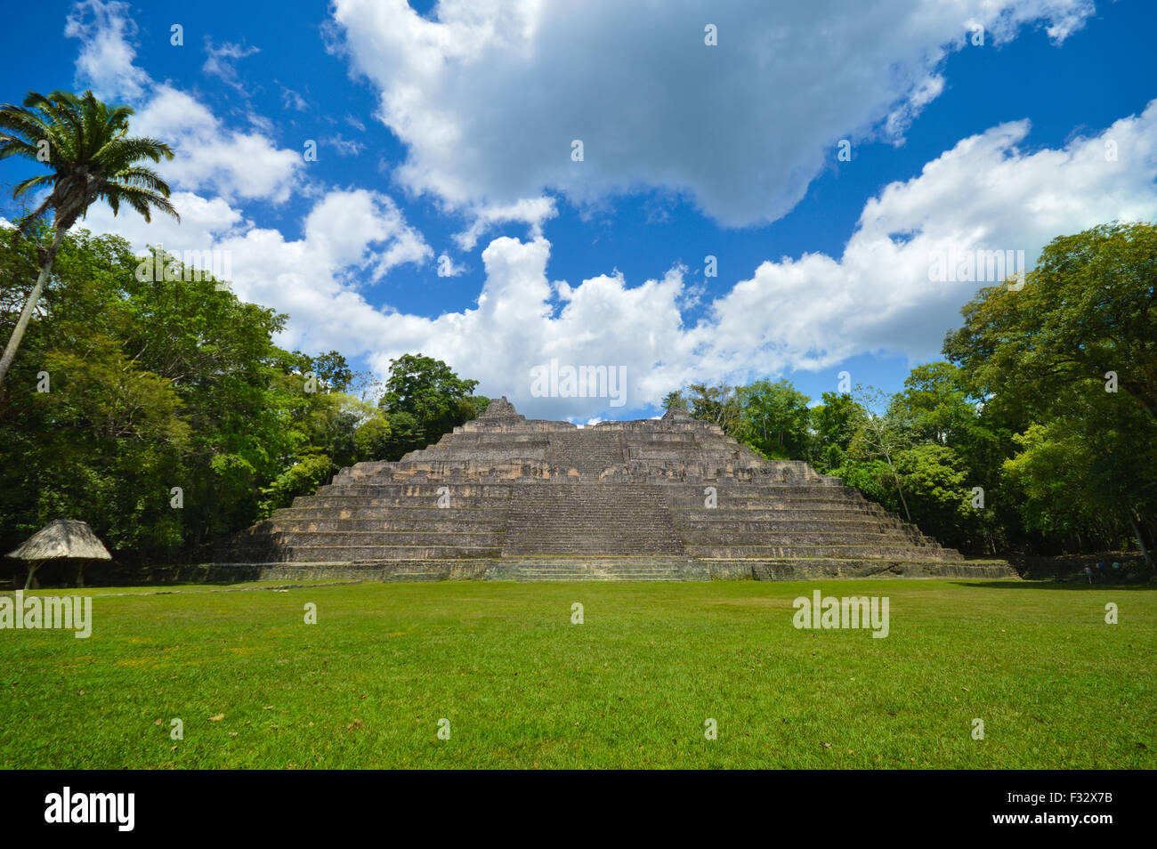 Caana pyramid at Caracol archaeological site of Mayan civilization in ...