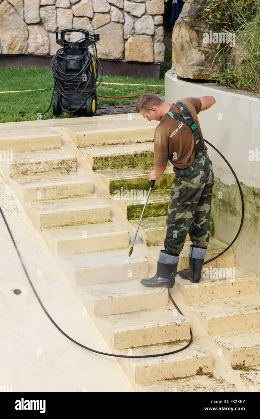Zoo keeper cleaning hi-res stock photography and images - Alamy