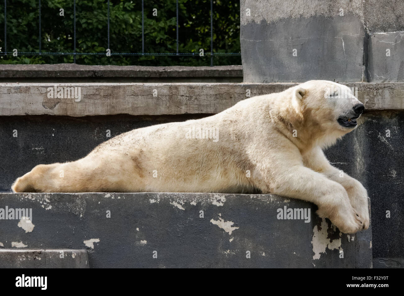 Warsaw conservation area hi-res stock photography and images - Alamy