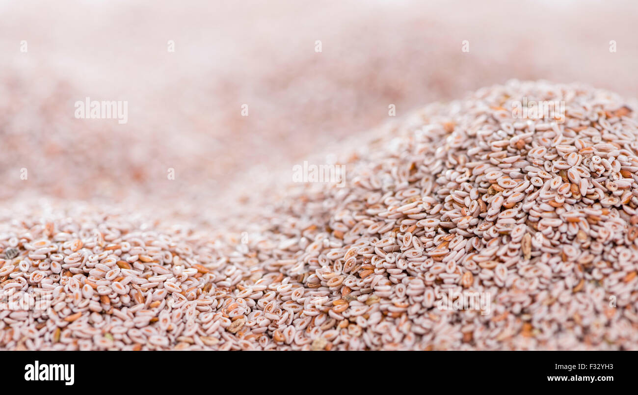 Heap of fresh Psyllium seeds for use as background image Stock Photo ...
