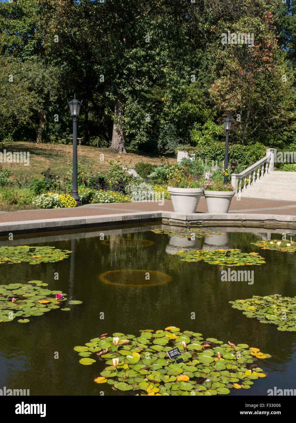 Lily pool terrace hi-res stock photography and images - Alamy