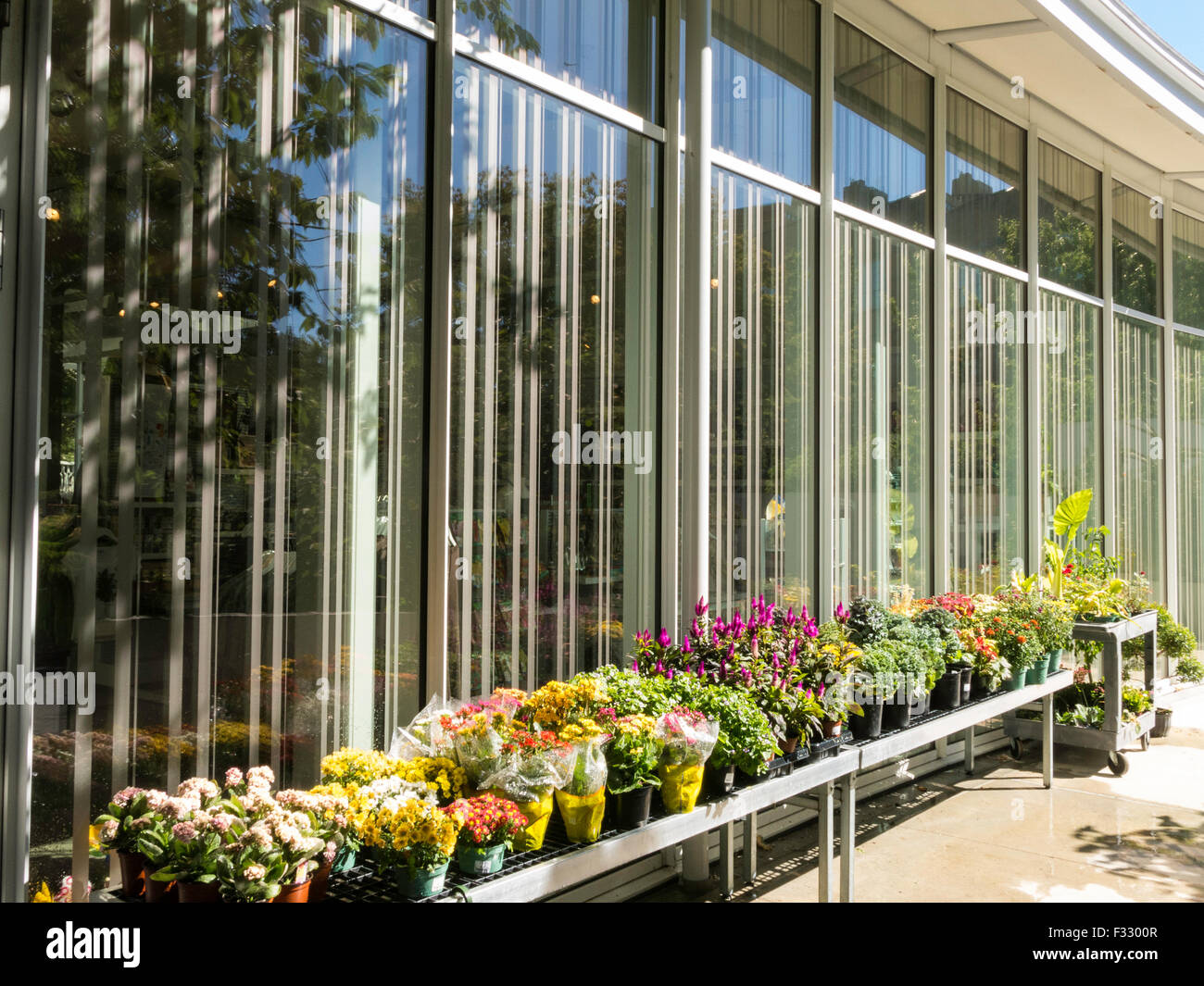 Brooklyn botanic garden building hi-res stock photography and images ...
