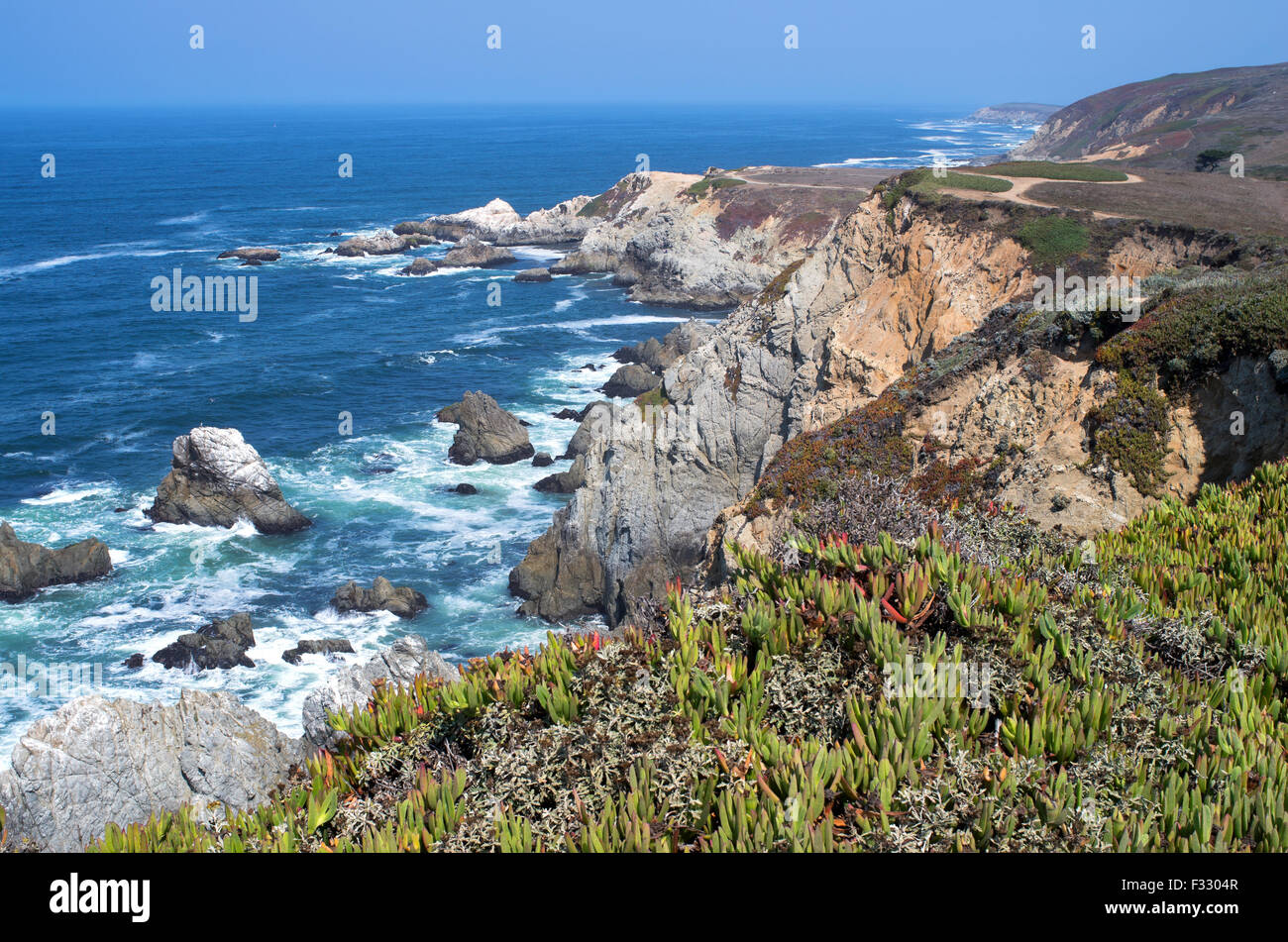 bodega head peninsula and rocky shoreline off pacific ocean in sonoma ...