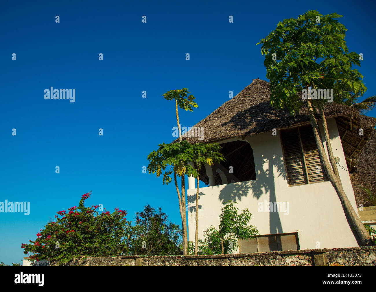 Tanzania, Zanzibar, Jambiani, house and trees at coast Stock Photo - Alamy