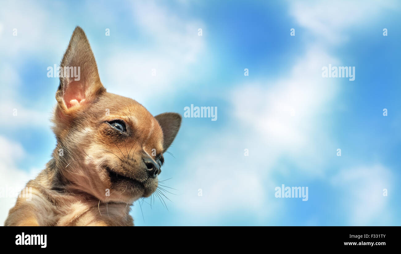 Cute sky hi-res stock photography and images - Alamy