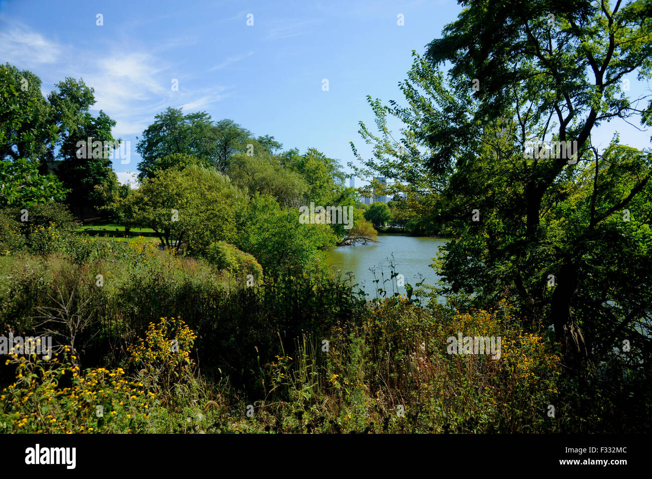 North Pond in Lincoln Park, Chicago, Illinois Stock Photo - Alamy