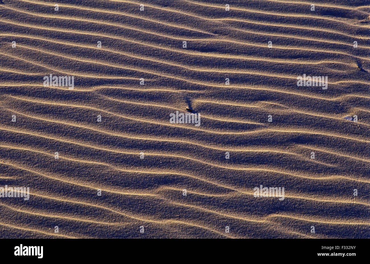 Shoal bay hi-res stock photography and images - Alamy