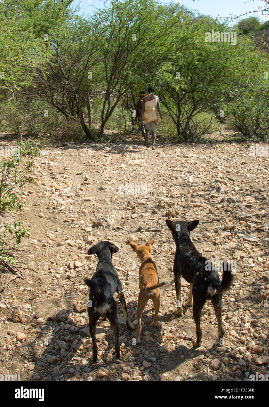 Tanzania, Serengeti Plateau, Lake Eyasi, hadzabe tribe men hunting with ...