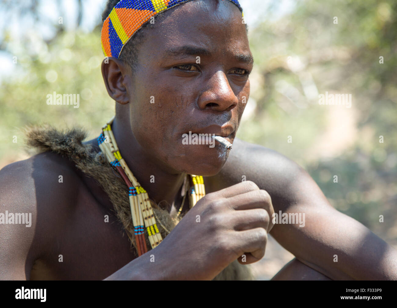 Marijuana conservation hi-res stock photography and images - Alamy