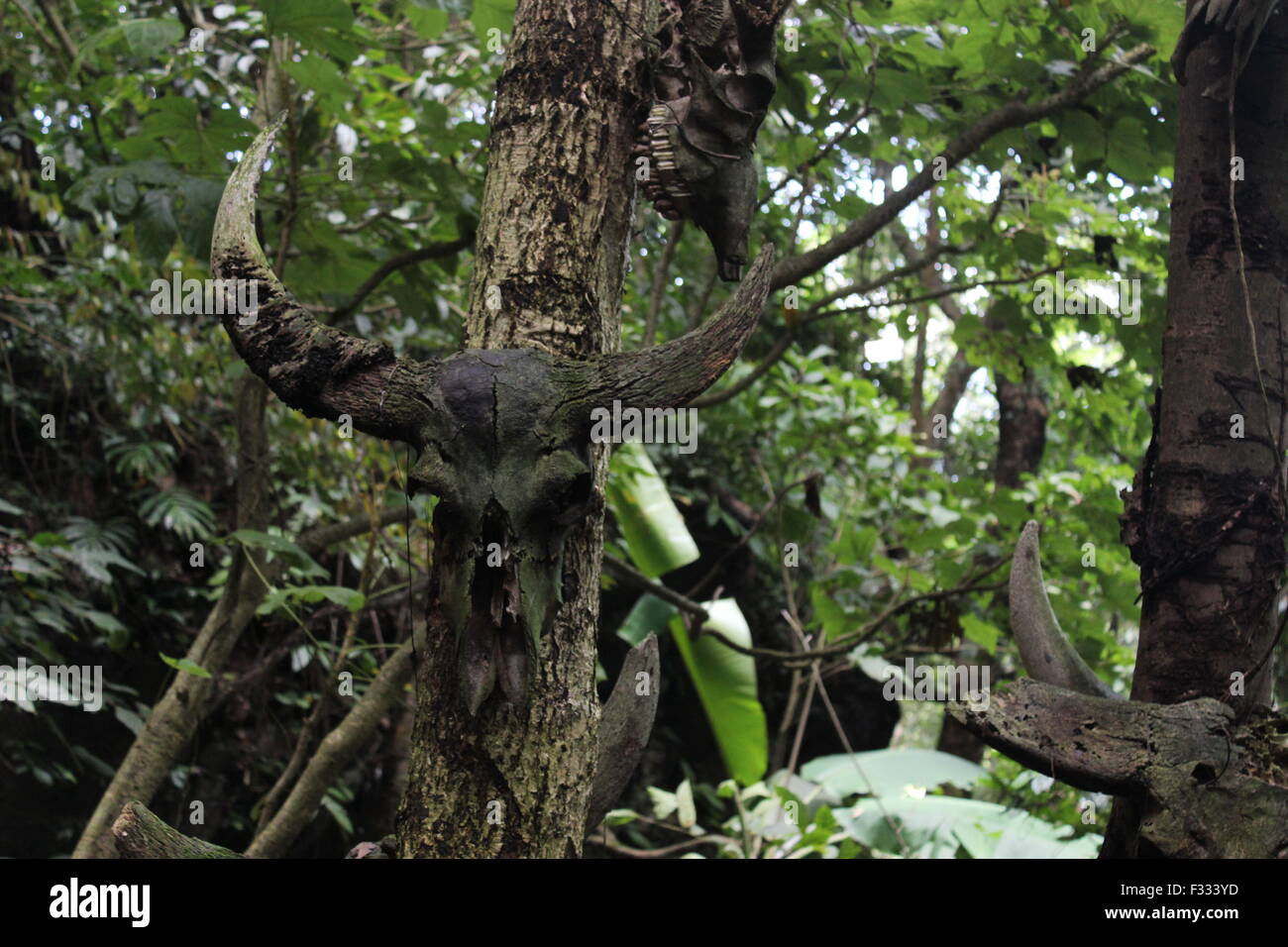 Ximeng hi-res stock photography and images - Alamy