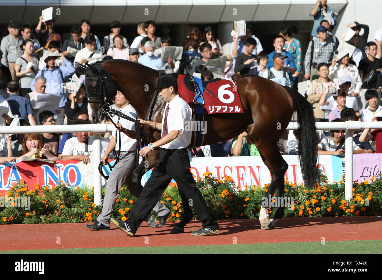 Hyogo, Japan. 27th Sep, 2015. Lia Fail Horse Racing : Lia Fail is led ...