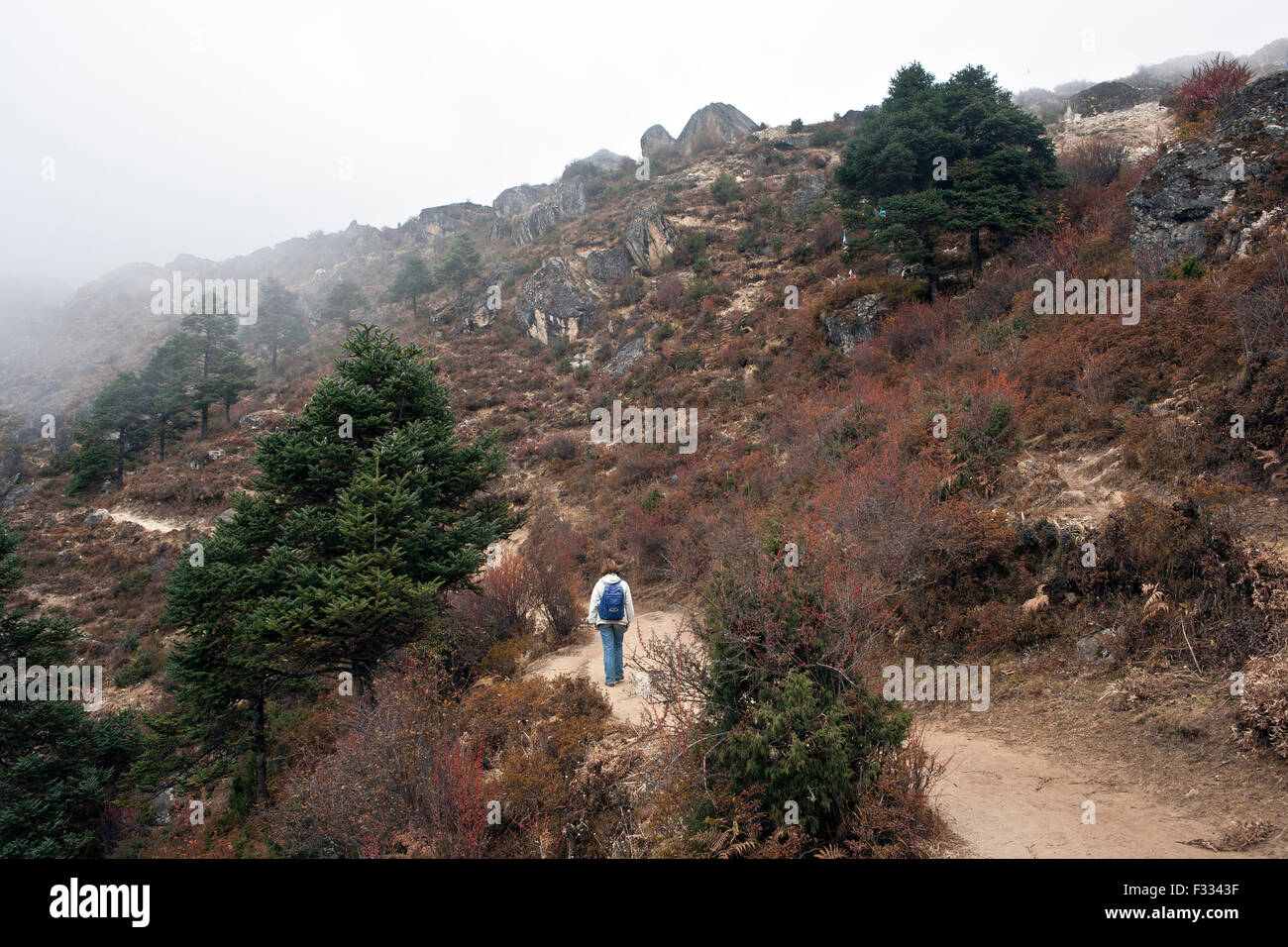 Single traveler near Phurte in Nepal Stock Photo - Alamy