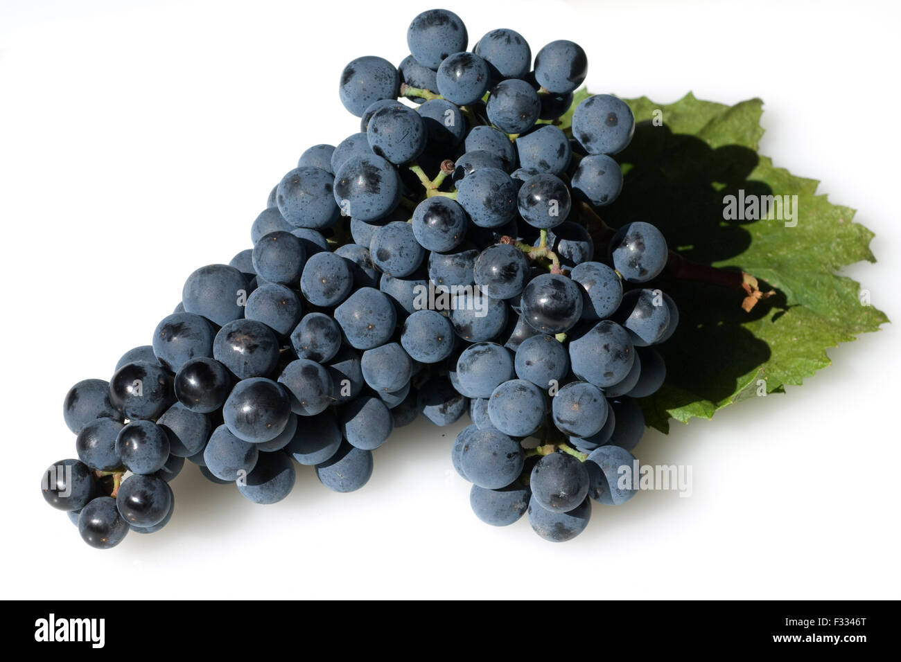 Dornfelder, Rotwein, Rote, Weintrauben Stock Photo - Alamy