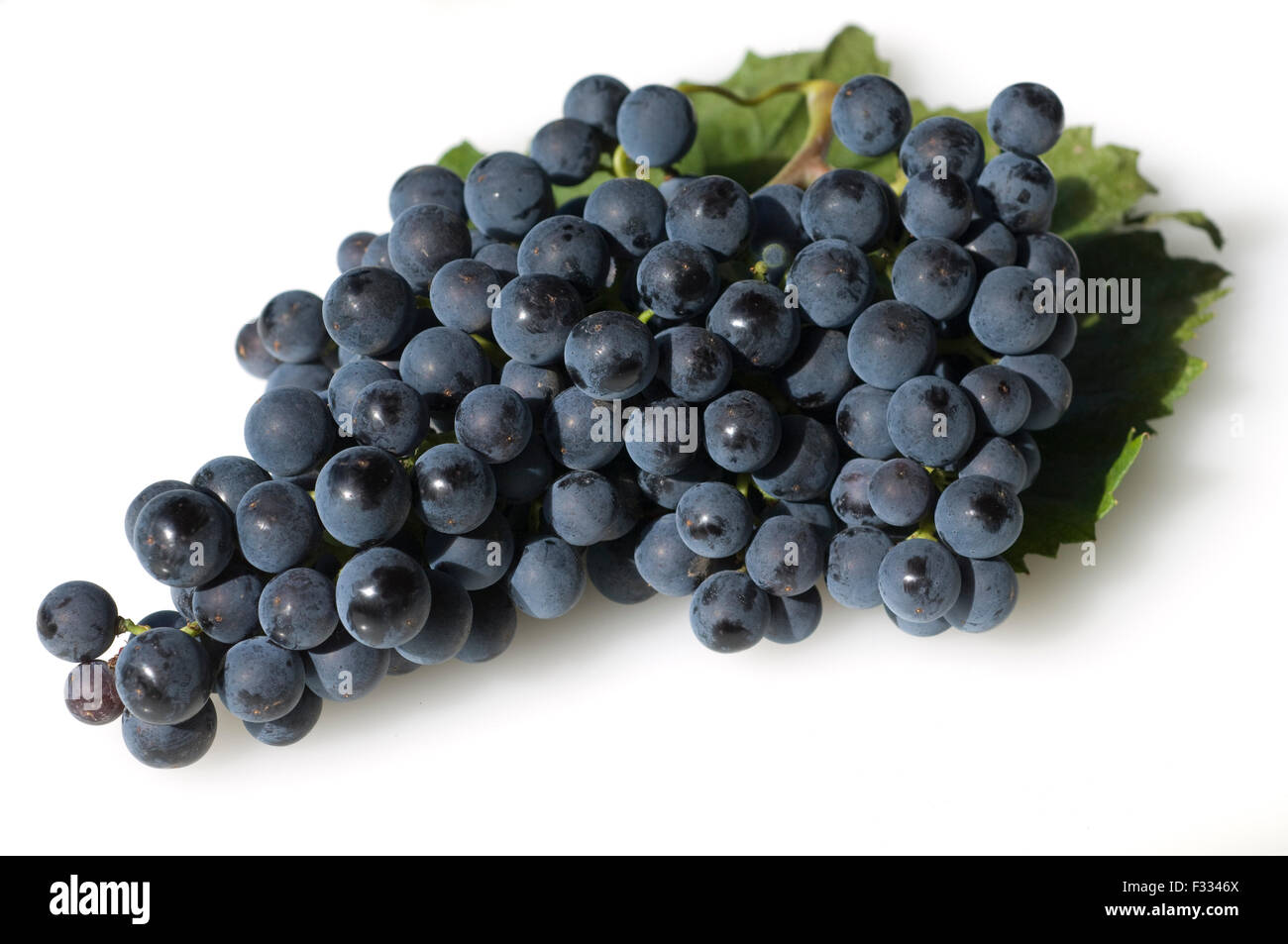 Dornfelder, Rotwein, Rote, Weintrauben Stock Photo - Alamy