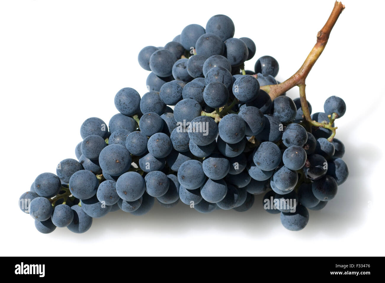 Dornfelder, Rotwein, Rote, Weintrauben Stock Photo - Alamy
