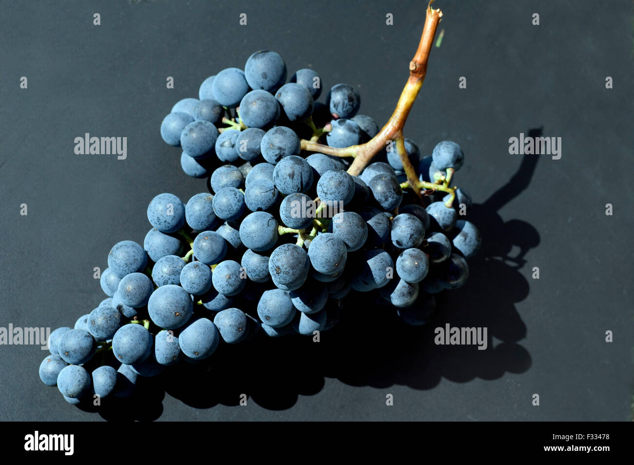Dornfelder, Rotwein, Rote, Weintrauben Stock Photo - Alamy