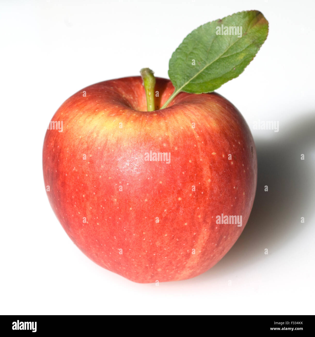 Elstar, Apfel, Malus, domestica Stock Photo - Alamy