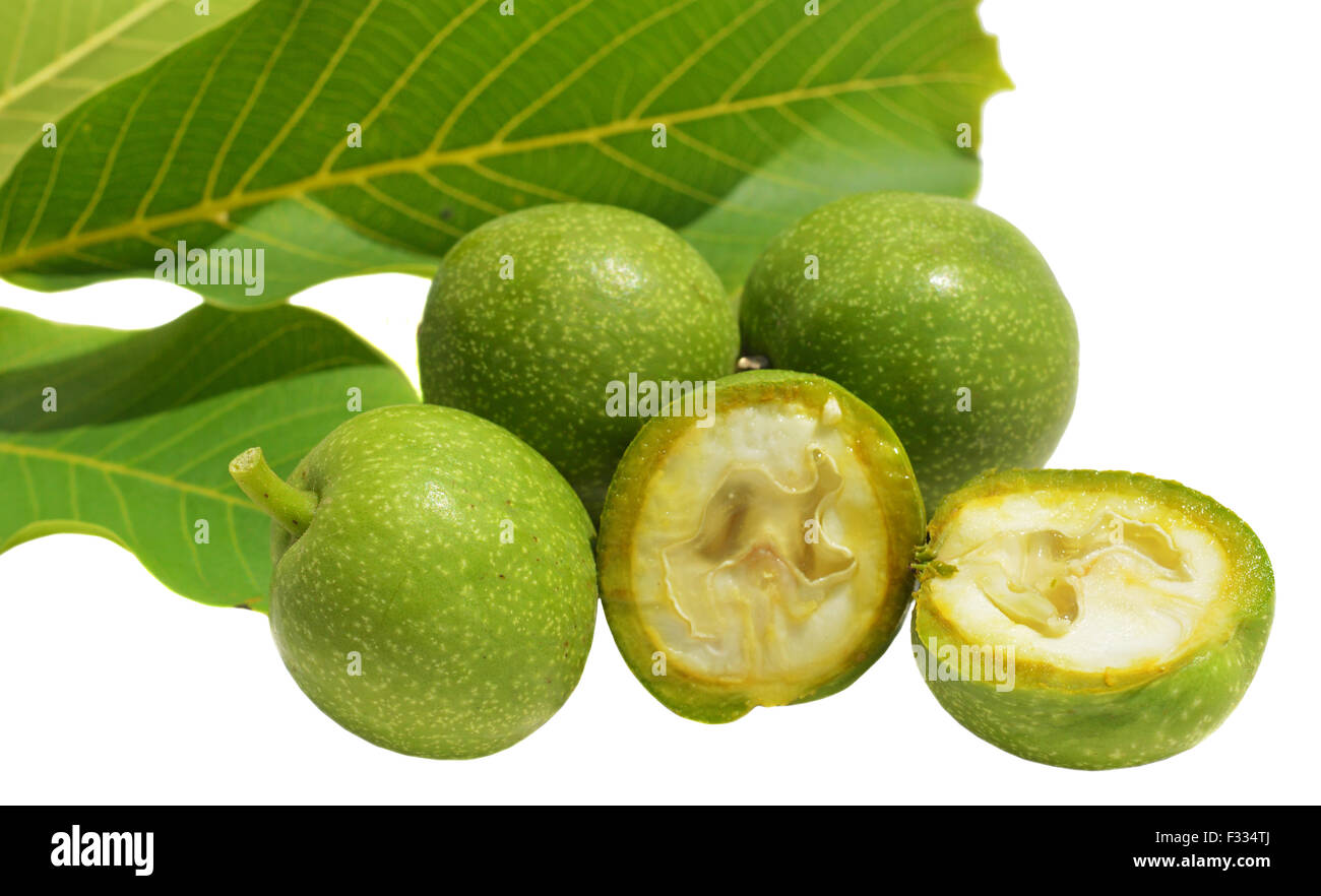 Husks are green hi-res stock photography and images - Alamy