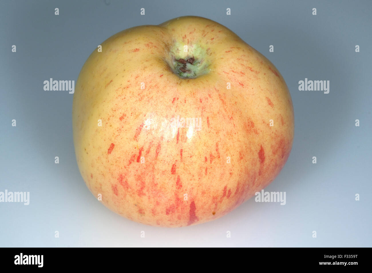Gravensteiner, Apfel, Malus, domestica Stock Photo - Alamy
