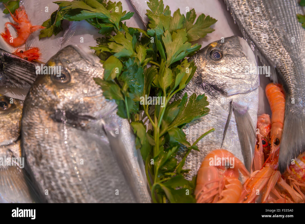 Fishes on the fish market Stock Photo - Alamy