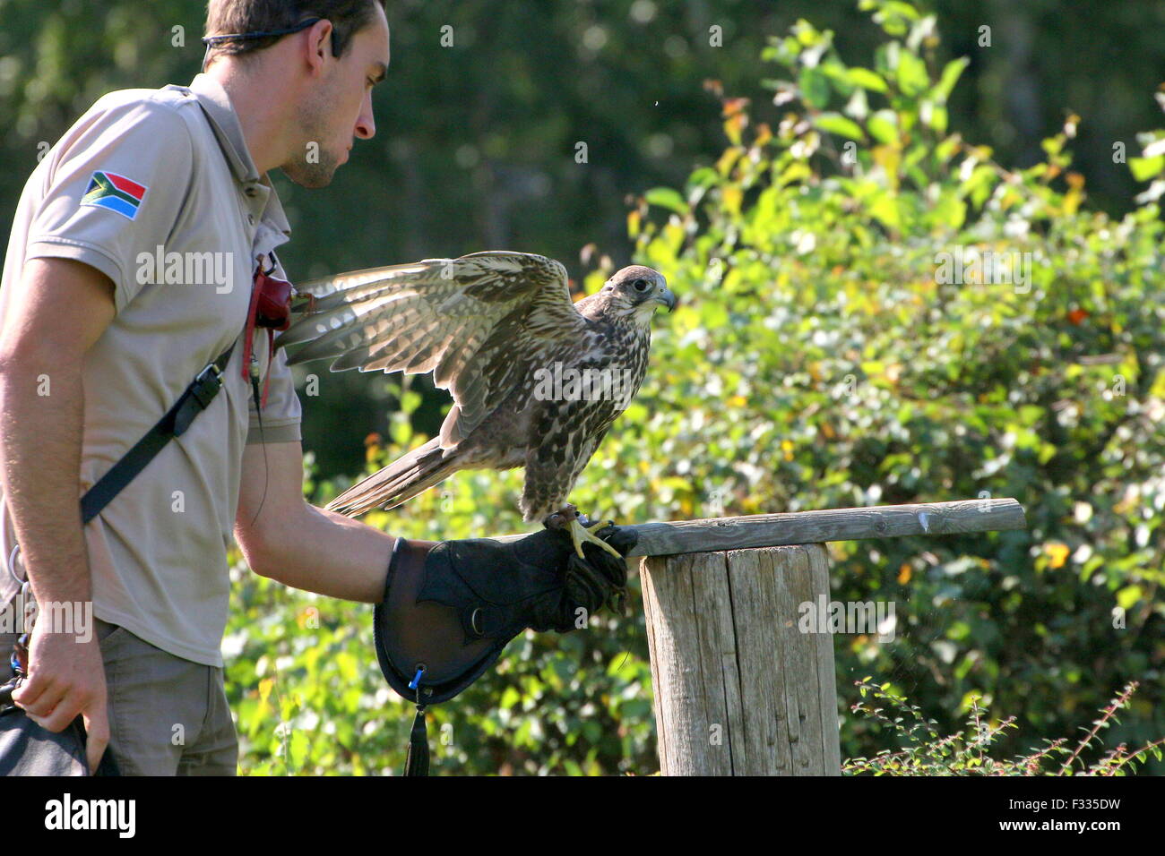 Handheld wings hi-res stock photography and images - Alamy