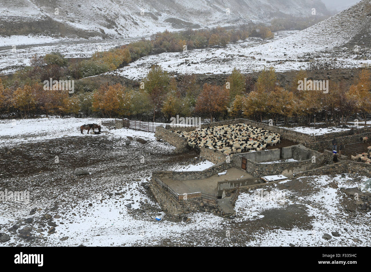 Bayingolin, China's Xinjiang Uygur Autonomous Region. 27th Sep, 2015. A ...
