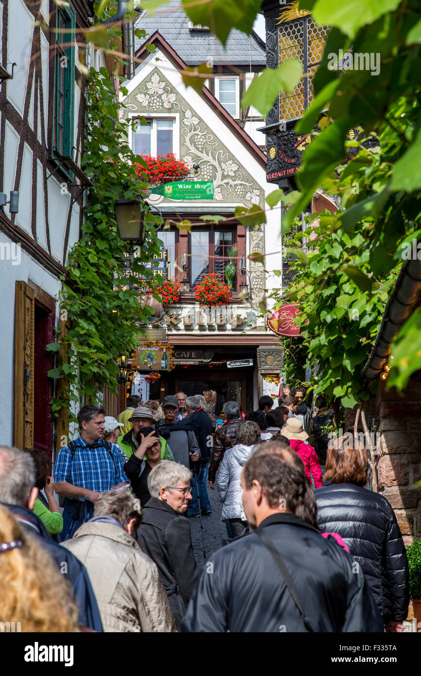 Rüdesheim, favorite tourist destination in the Upper middle Rhine ...