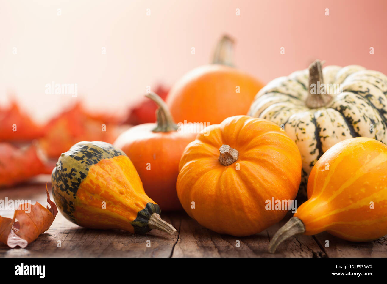 decorative pumpkins and autumn leaves for halloween Stock Photo - Alamy