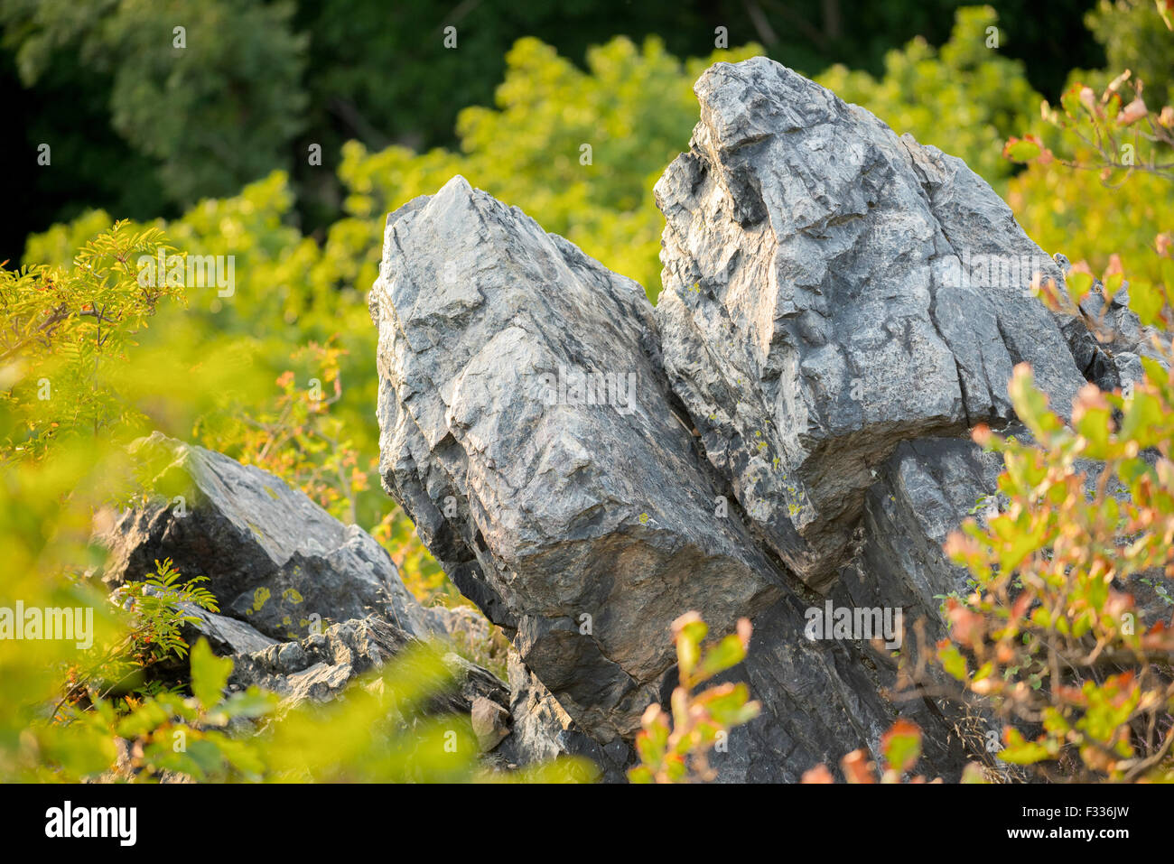 Rocks in the bush Stock Photo - Alamy