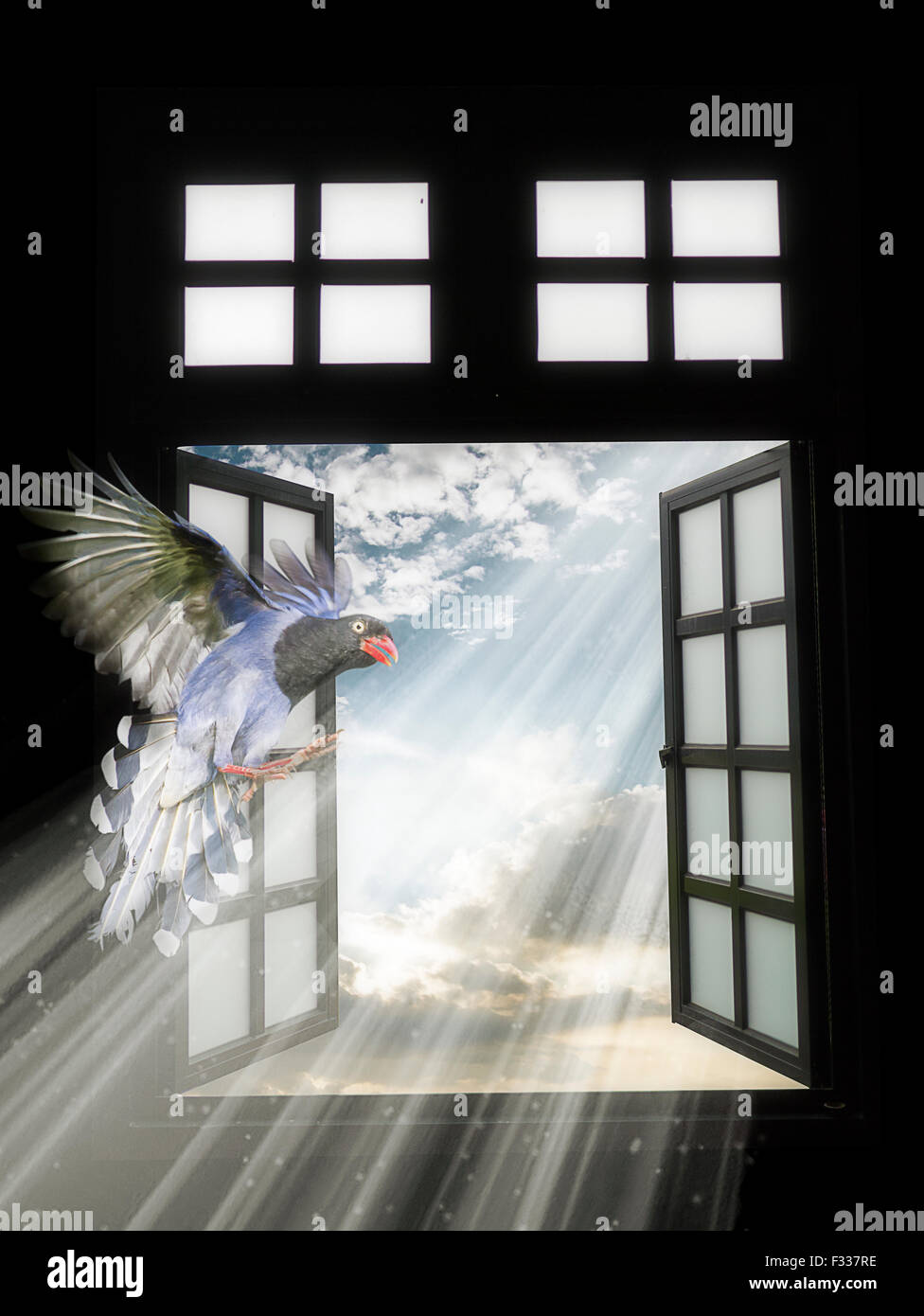 Bright future landscape hi-res stock photography and images - Alamy