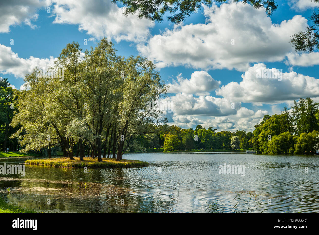 Beautiful russian landscape with willows Stock Photo - Alamy