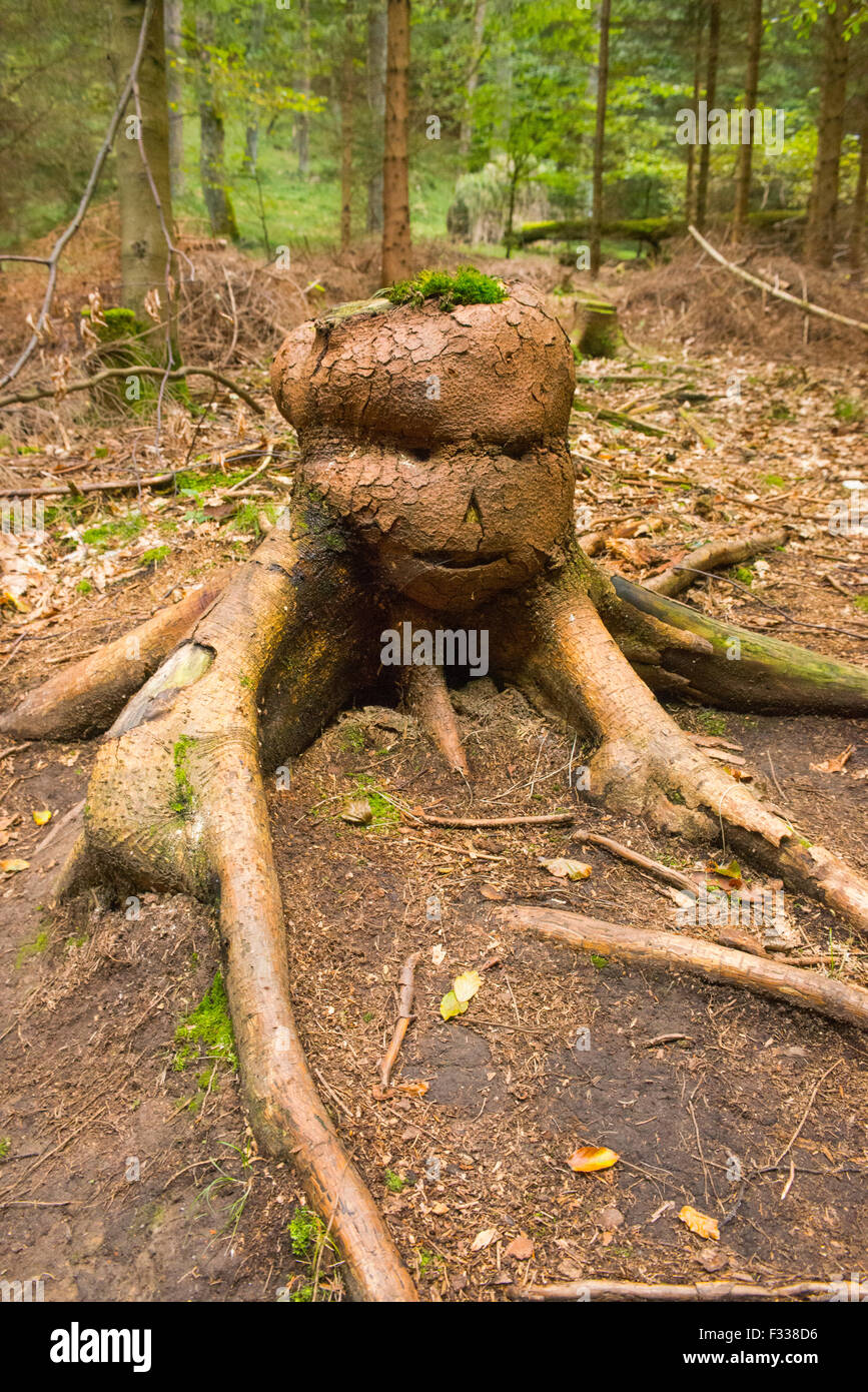 Monster creature made from tree stump in the forest Stock Photo - Alamy