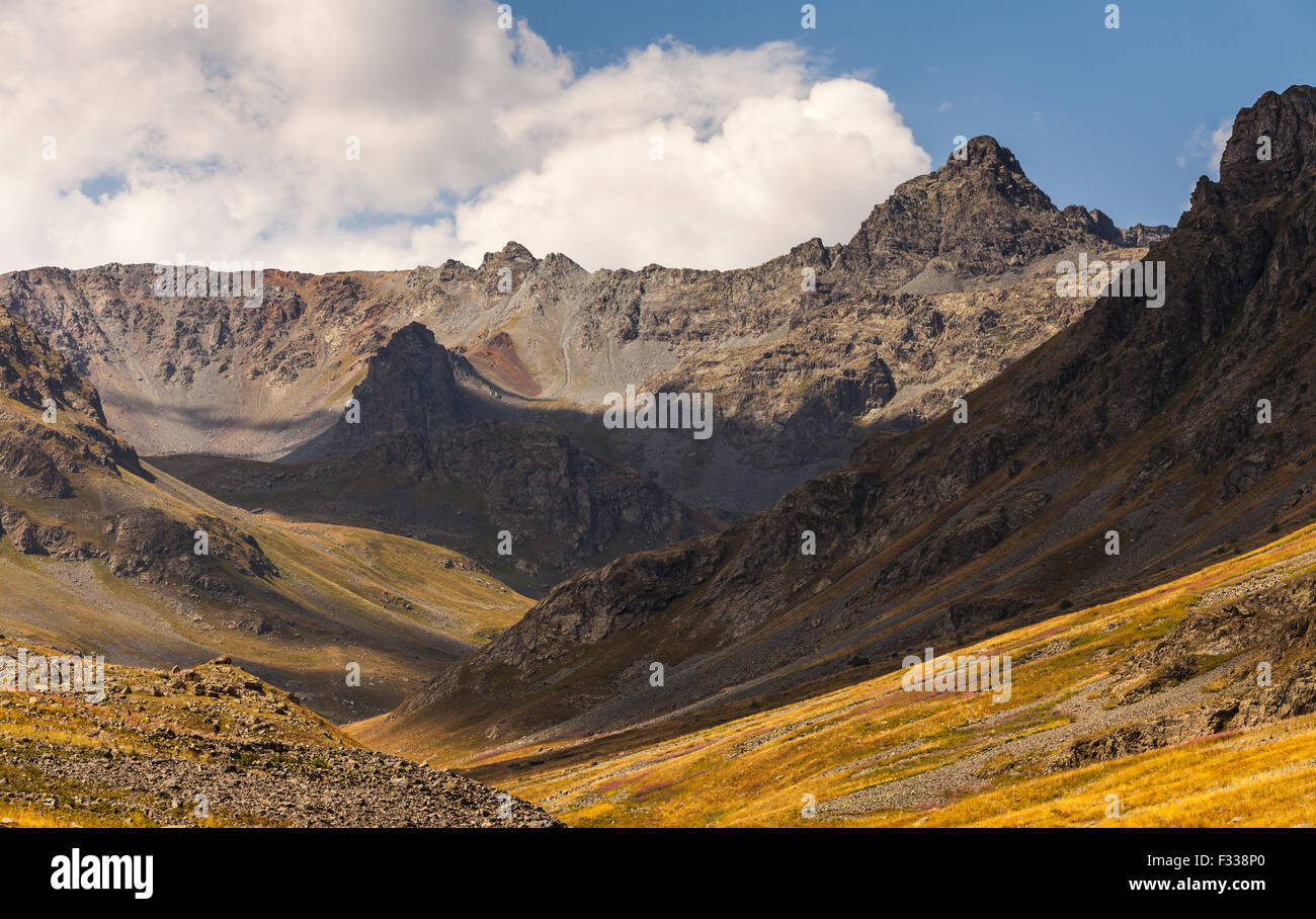 Blue mountain comb hi-res stock photography and images - Alamy