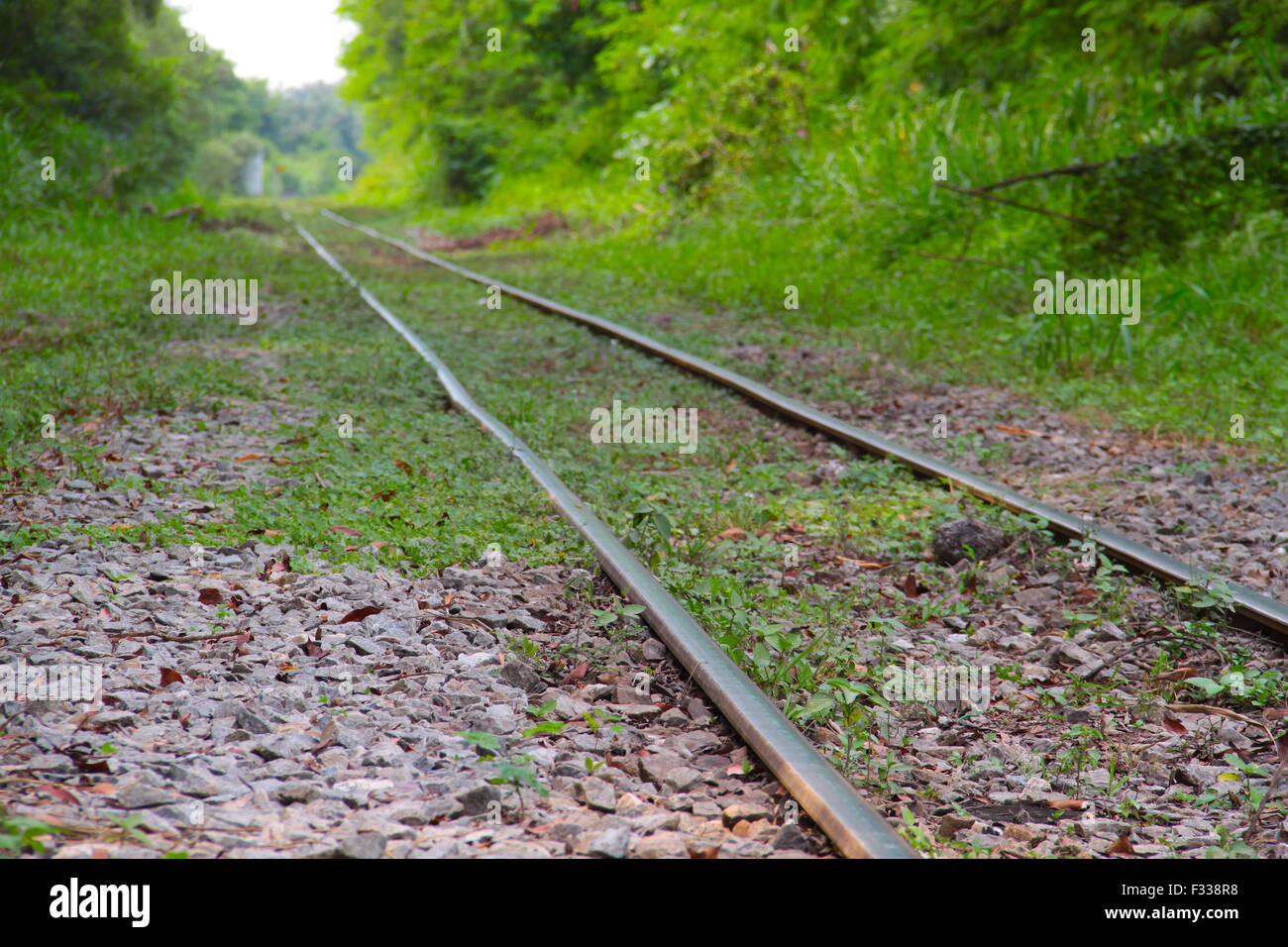 Railway track lead to deeper forest Stock Photo - Alamy