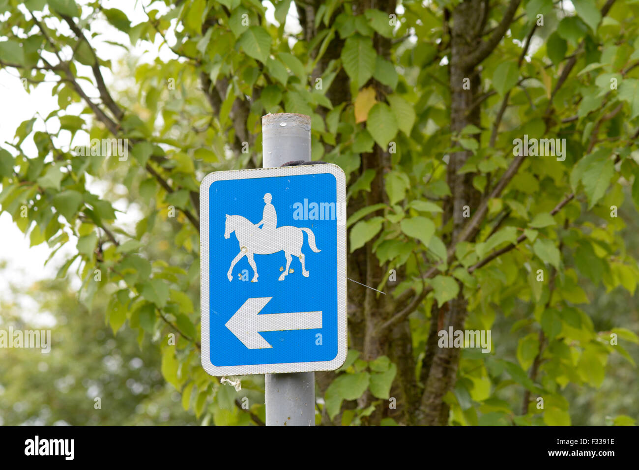 Horses this way sign on bridle-path Stock Photo - Alamy