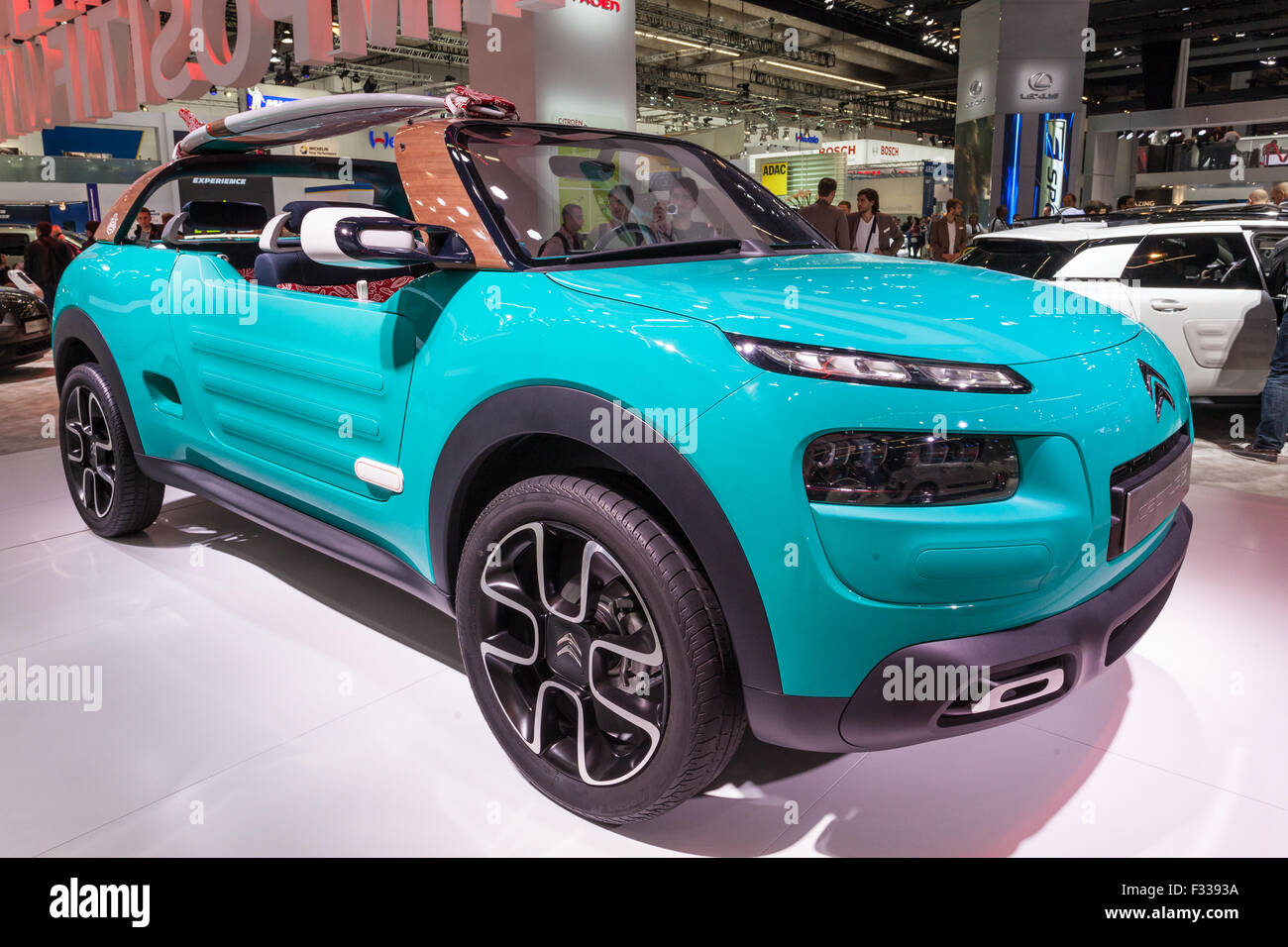 Cactus exhibition hi-res stock photography and images - Alamy