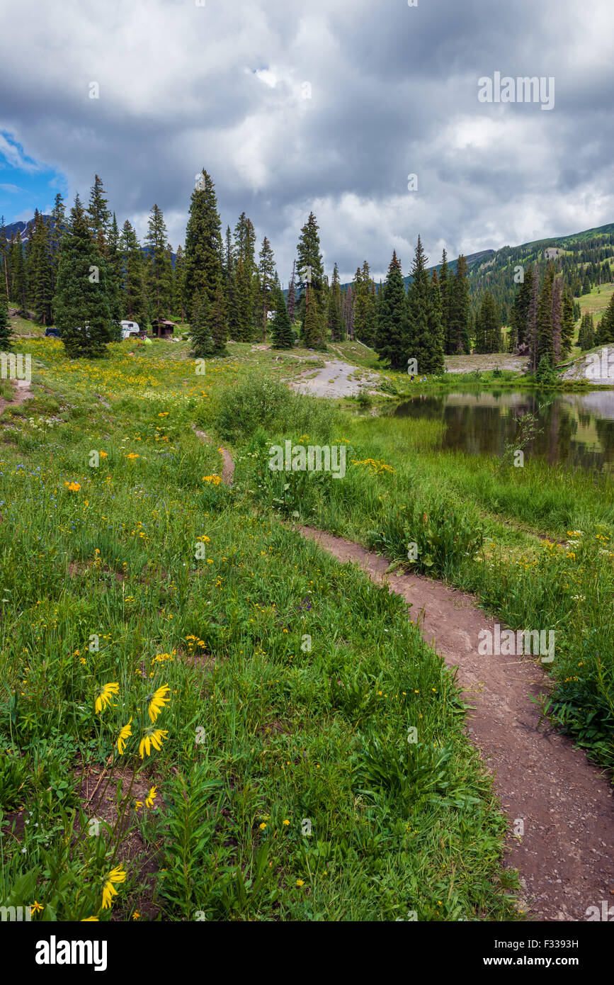 Meadow trail hi-res stock photography and images - Alamy
