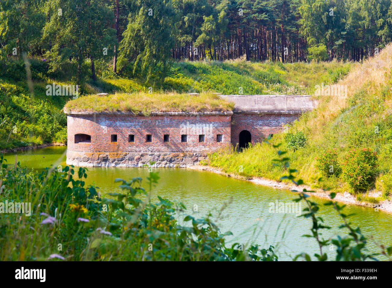 Old fortification with moat and green forest on background Stock Photo ...