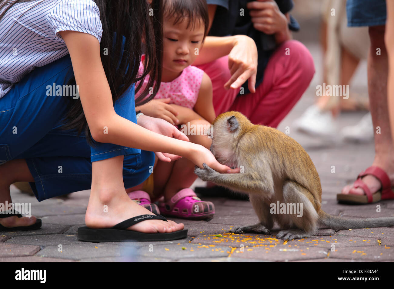 Children engrossed hi-res stock photography and images - Alamy