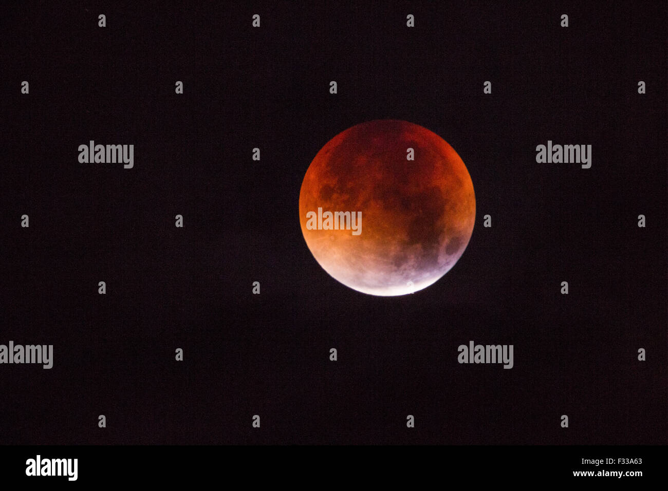 Blood aligned hi-res stock photography and images - Alamy