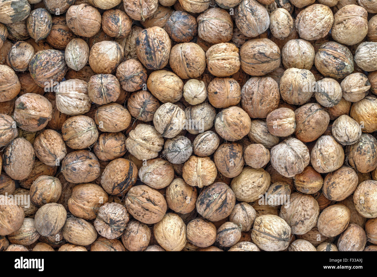 Walnut texture wallpaper hi-res stock photography and images - Alamy