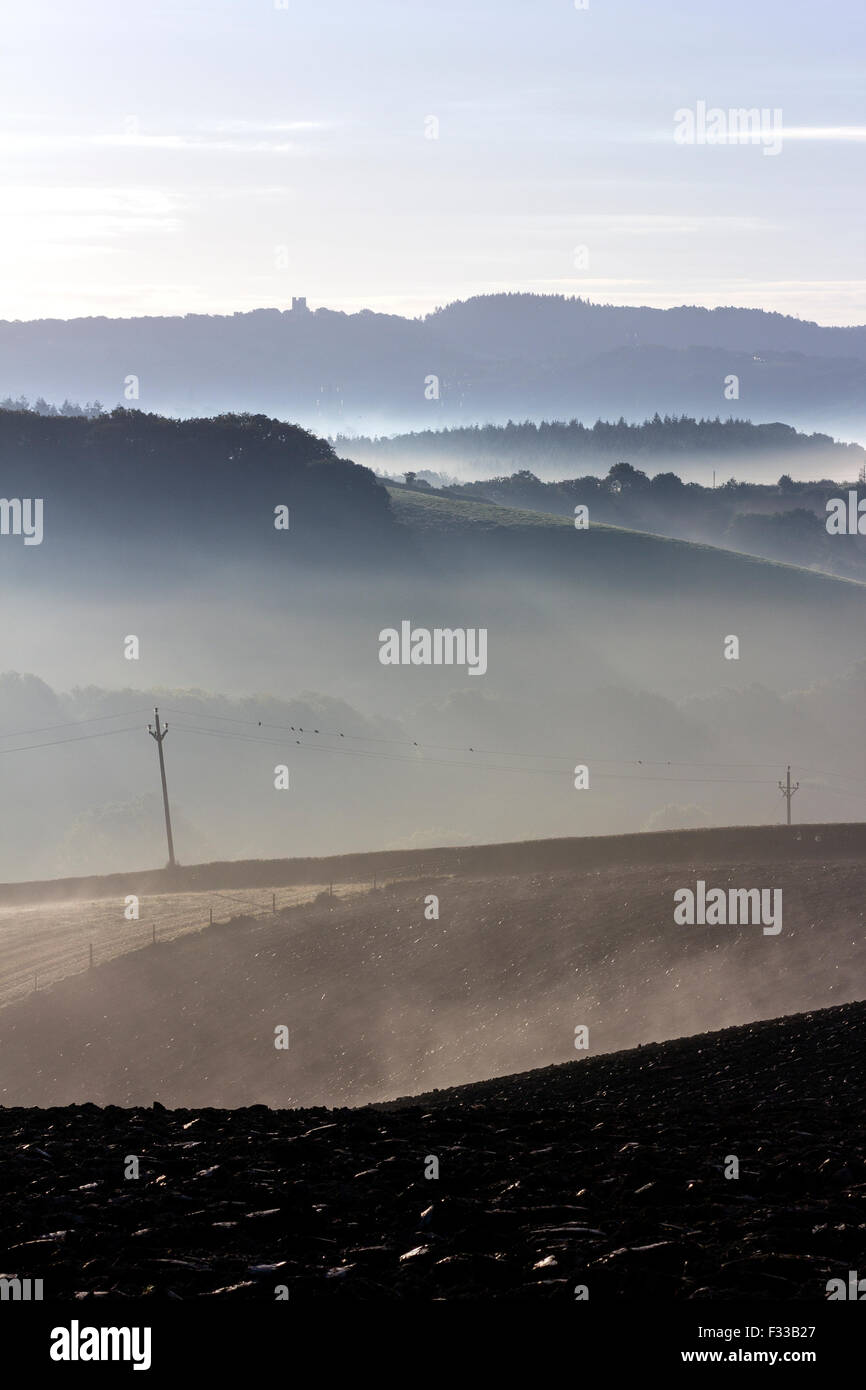 Telegraph poles in morning mist,Foggy sunrise over Devon fields,Teign ...