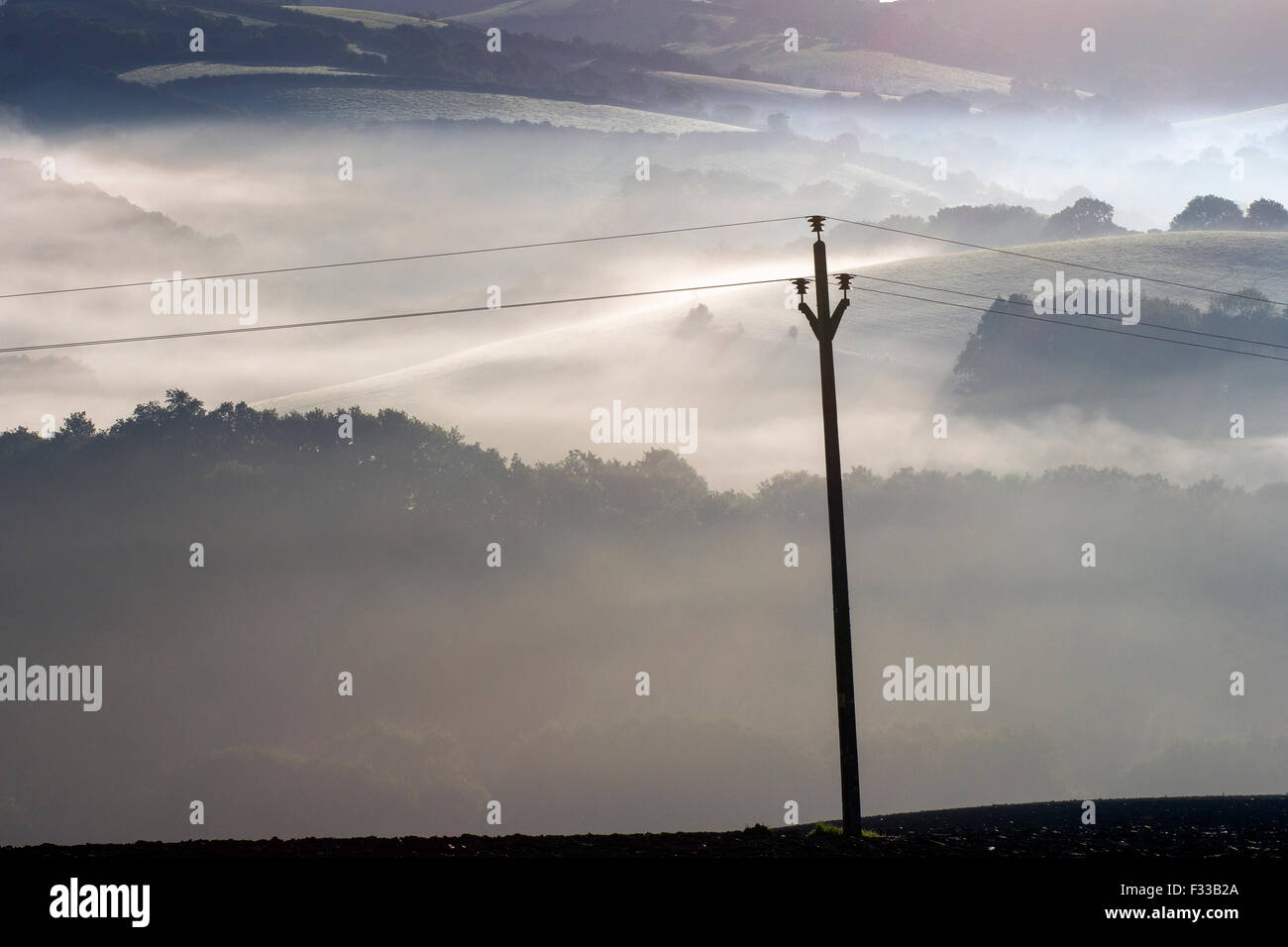 Telegraph pole in blanket of morning mist,Teign Valley,Combe,fog,hedges ...