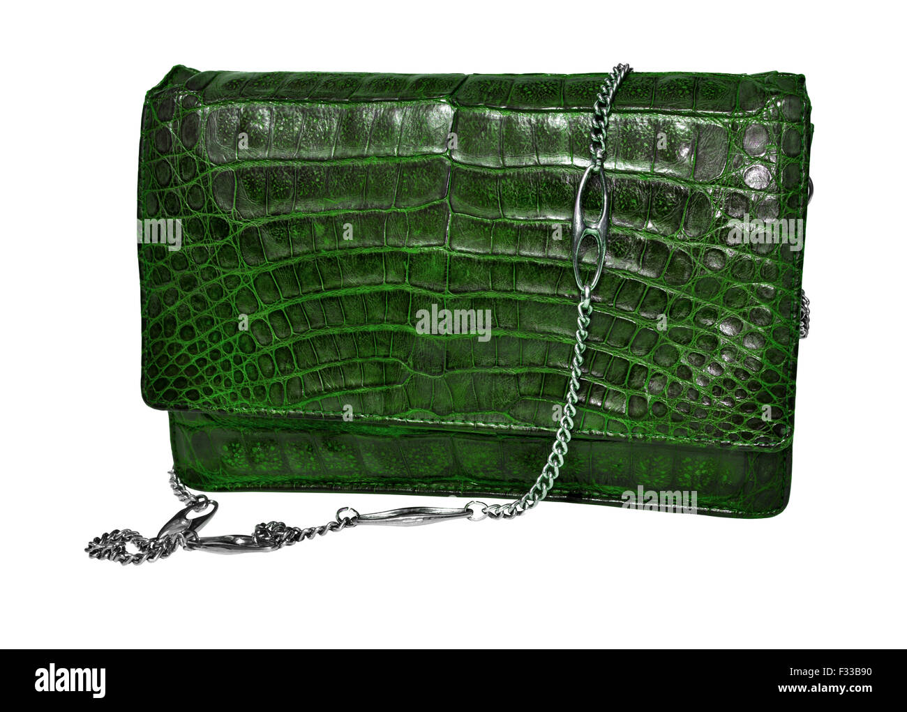 Green crocodile hi-res stock photography and images - Alamy