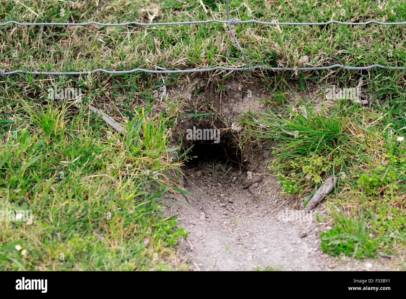 Hole In Ground Stock Photos & Hole In Ground Stock Images - Alamy