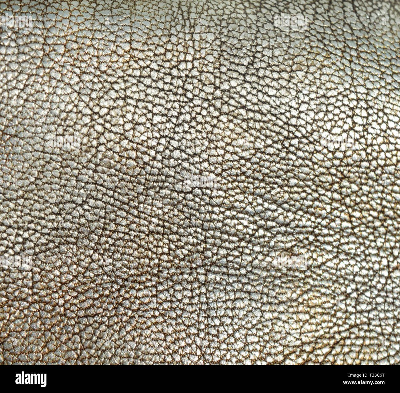 Silver leather texture hi-res stock photography and images - Alamy