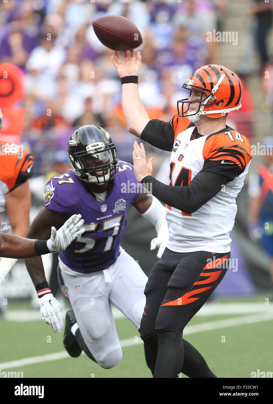 Cincinnati Bengals QB Andy Dalton (14) passes the football as Baltimore ...